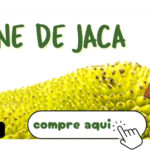 Home - Fazenda burin